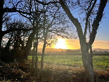Salisbury - BBC Weather