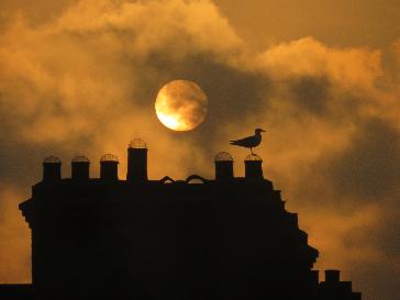 Maidstone - BBC Weather