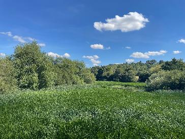 Coventry - BBC Weather