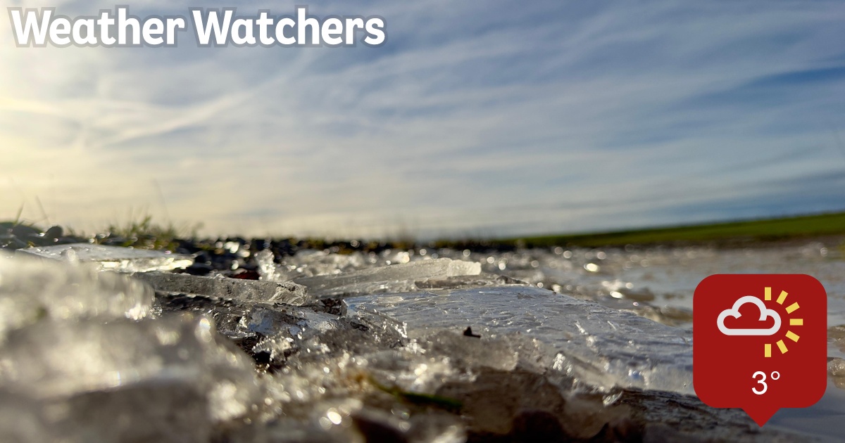 Report - BBC Weather Watchers