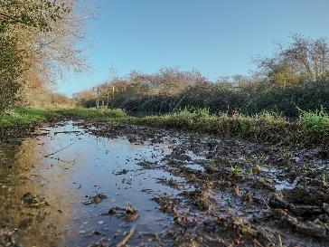 Warwick - BBC Weather