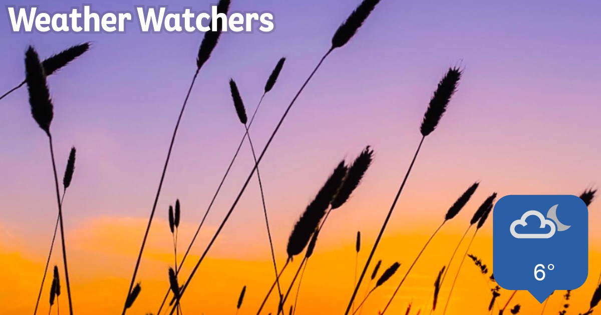 Report - BBC Weather Watchers