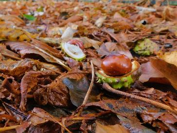 Immingham - BBC Weather
