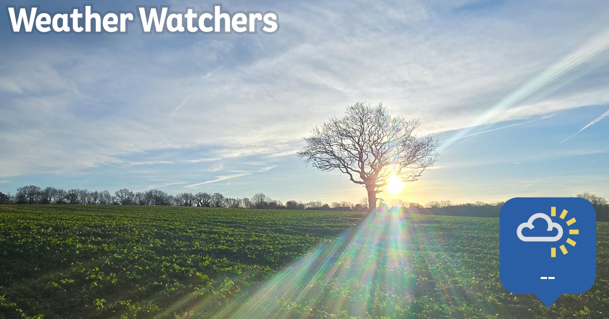 Report - BBC Weather Watchers