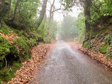 Ewell - BBC Weather