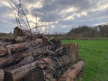 Alcester - BBC Weather