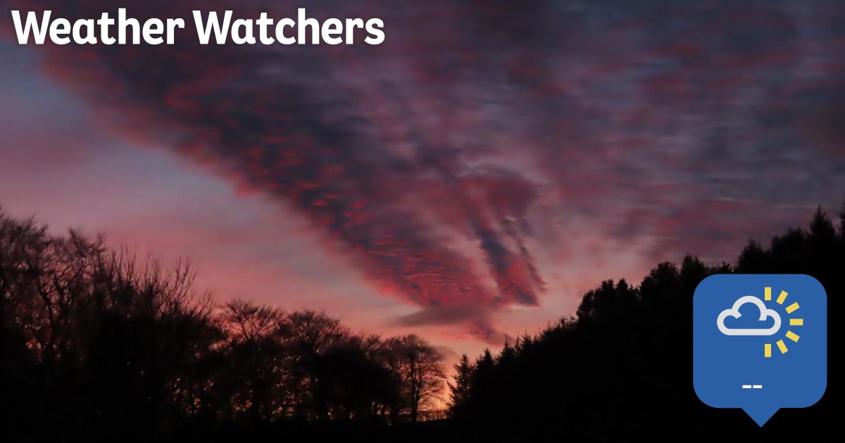 Report - BBC Weather Watchers