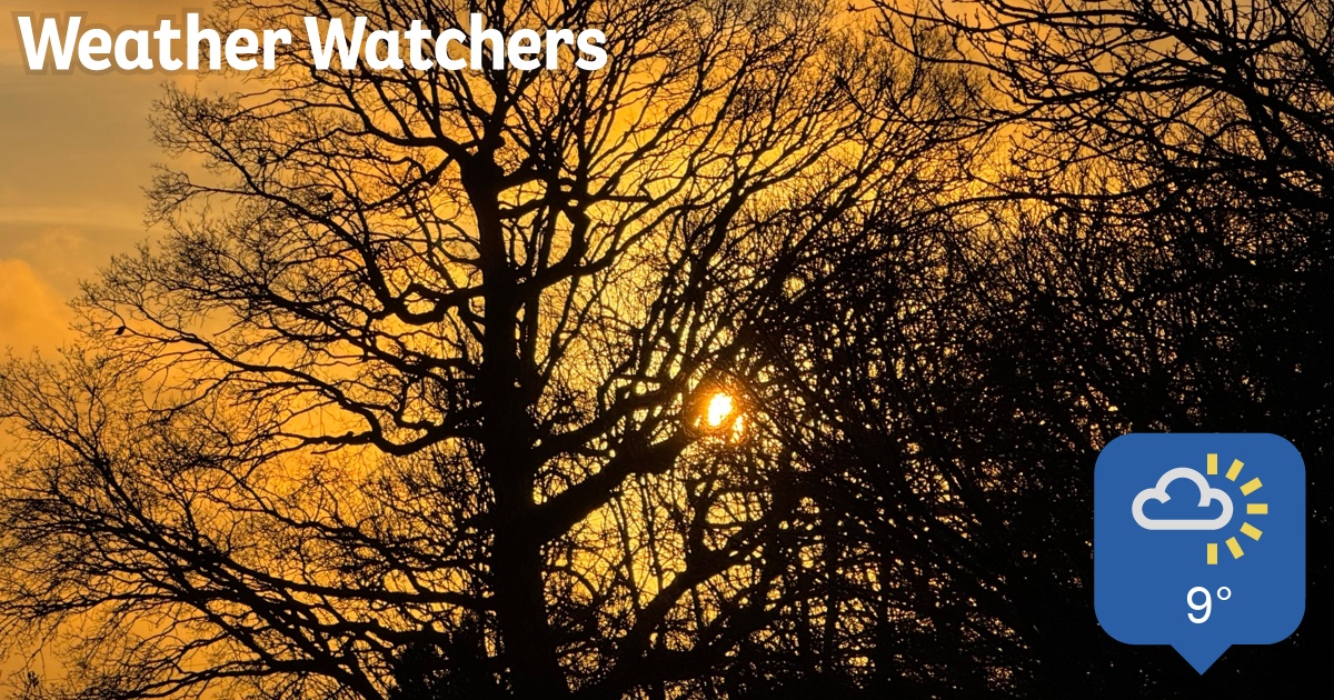 Report - BBC Weather Watchers
