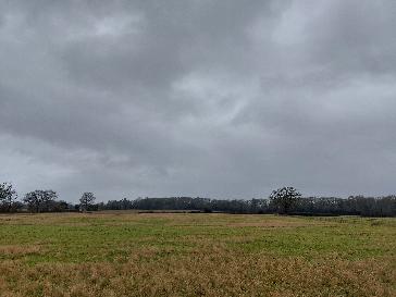 Watford - BBC Weather