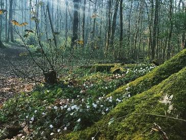 Evesham - BBC Weather
