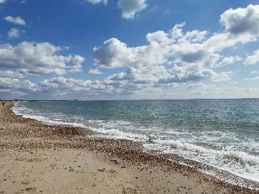 Basingstoke - BBC Weather