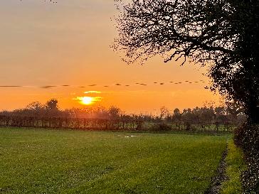 Norwich - BBC Weather