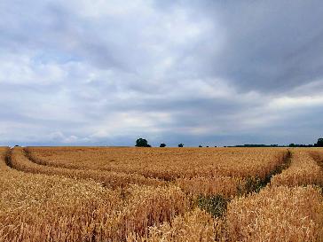 Northampton - BBC Weather