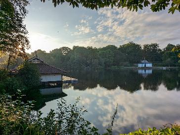 Solihull - BBC Weather