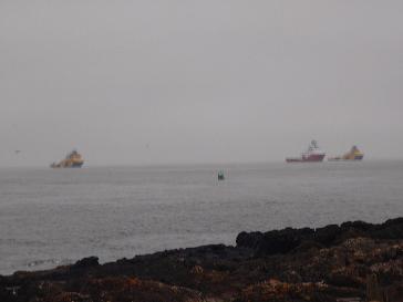 Dundee - BBC Weather