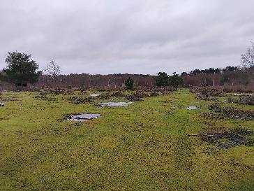Oldbury - BBC Weather