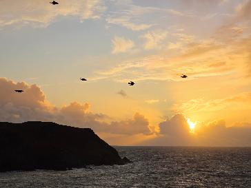 Torquay - BBC Weather