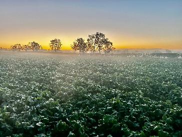 Nottingham - BBC Weather