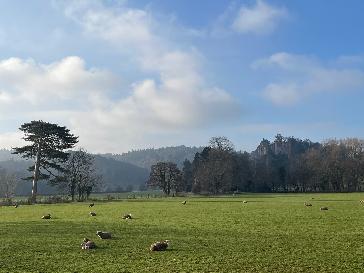 Banwell Castle - BBC Weather