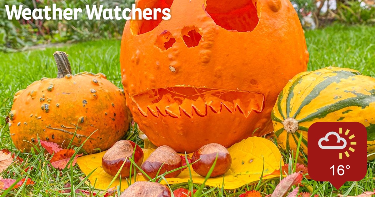 Report - BBC Weather Watchers