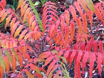 Bletchley - BBC Weather