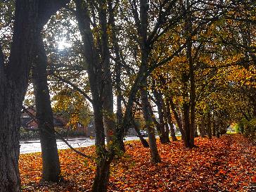 Congleton - BBC Weather