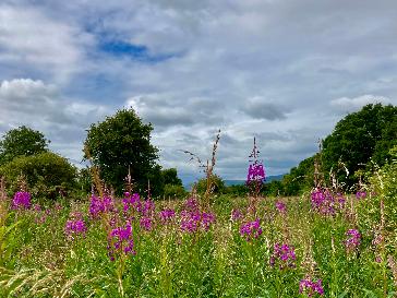 Evesham - BBC Weather