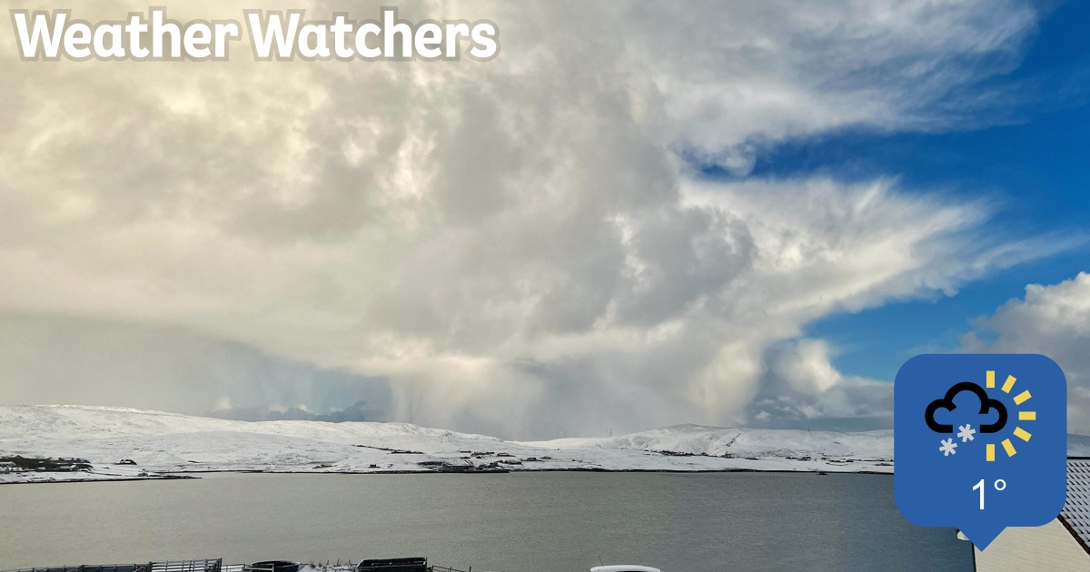 Report - BBC Weather Watchers
