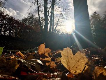 Downpatrick - BBC Weather