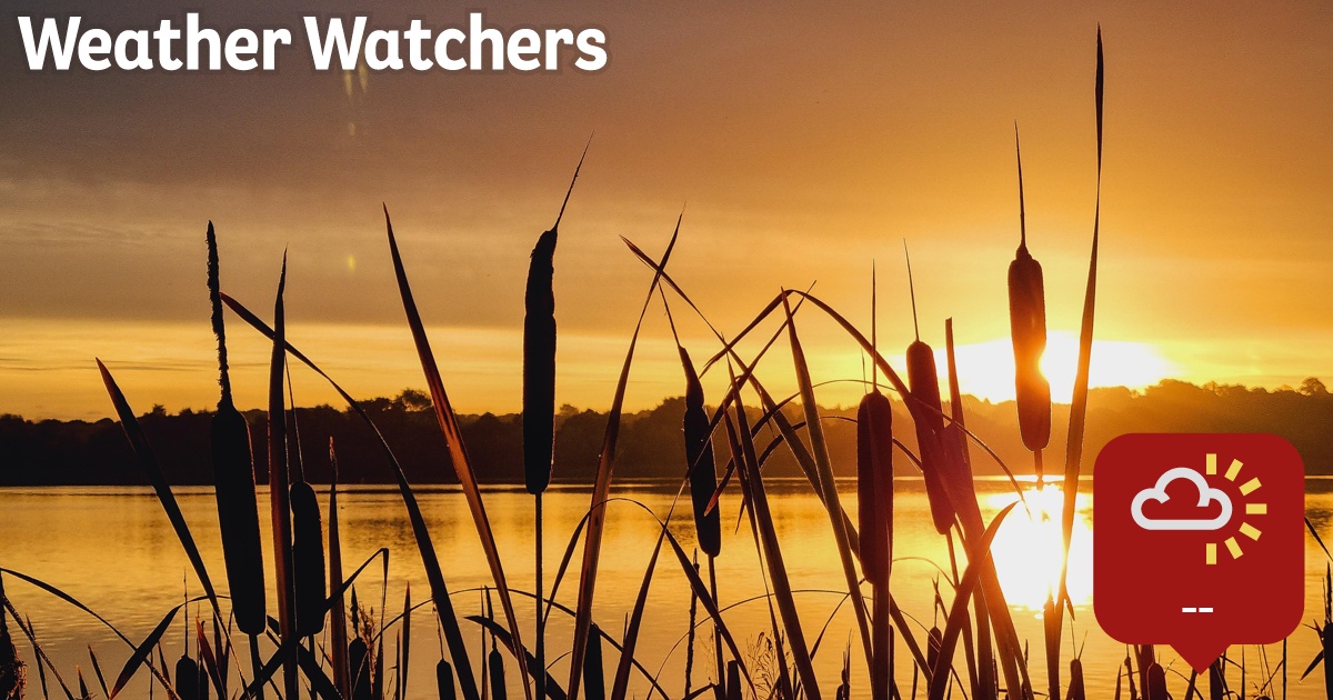 Report - BBC Weather Watchers