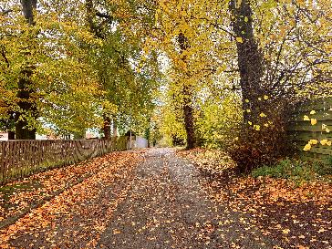 Dunblane - BBC Weather