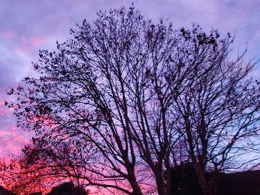 Salisbury - BBC Weather