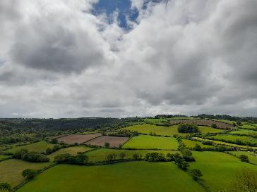 Honiton - BBC Weather