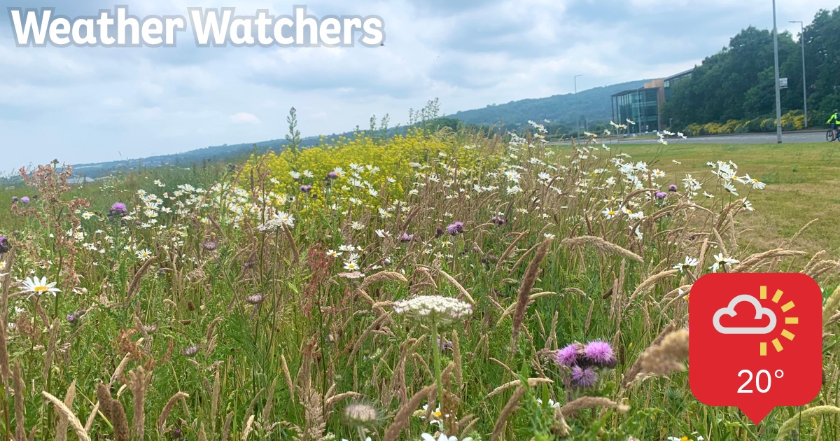 Report - BBC Weather Watchers