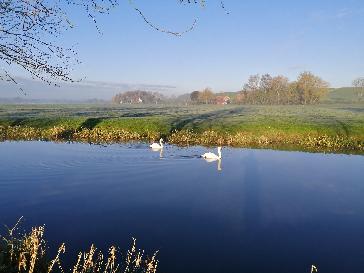 Ipswich - BBC Weather