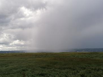 Warrington - BBC Weather