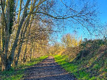 Norwich - BBC Weather