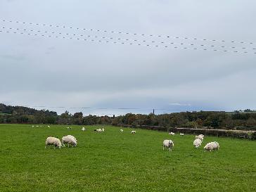 Gateshead - BBC Weather