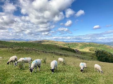Carlisle - BBC Weather