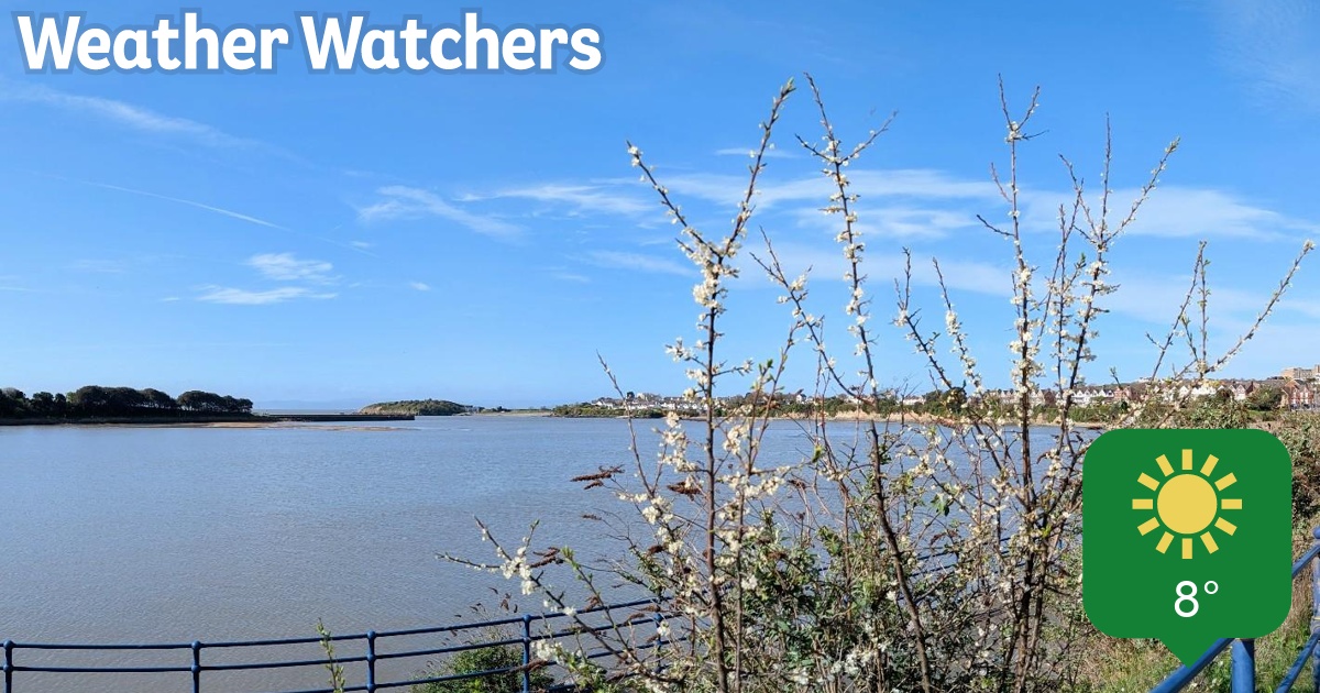 Report - BBC Weather Watchers