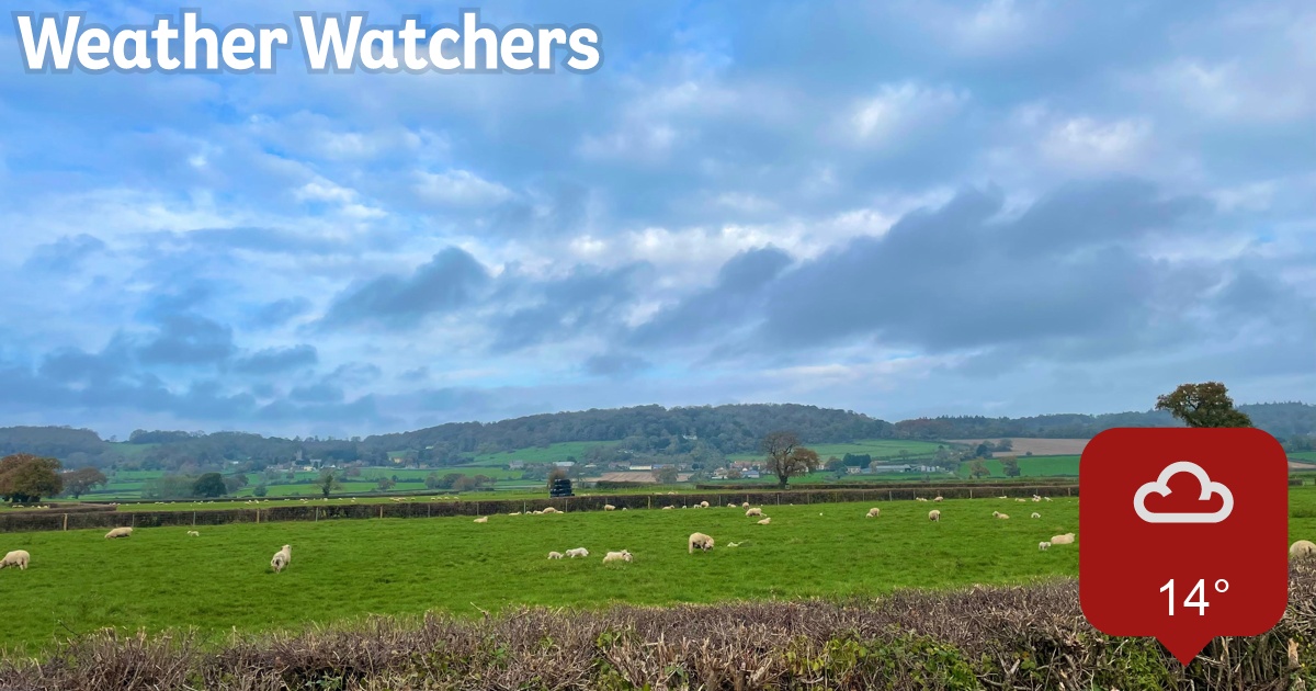 Report - BBC Weather Watchers