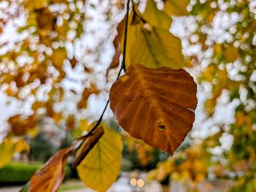 Whitby - BBC Weather