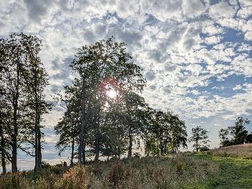 Downpatrick - BBC Weather