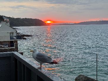 St Austell - BBC Weather