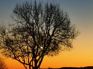 Harrogate - BBC Weather