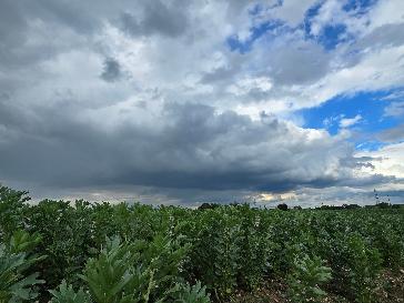 Mildenhall Royal Air Force Base - BBC Weather