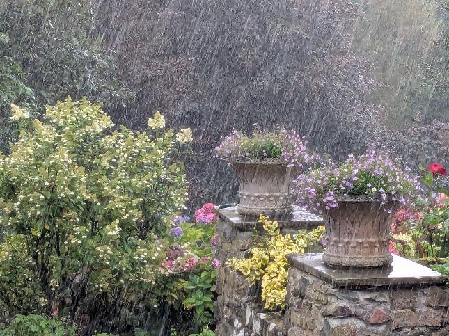 Report - BBC Weather Watchers