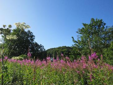 Wallsend - BBC Weather