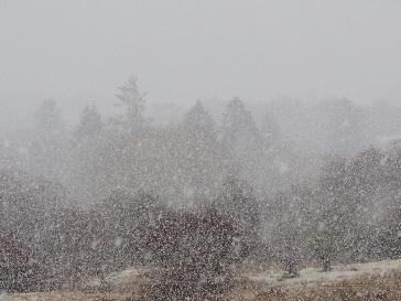 Greenock - BBC Weather