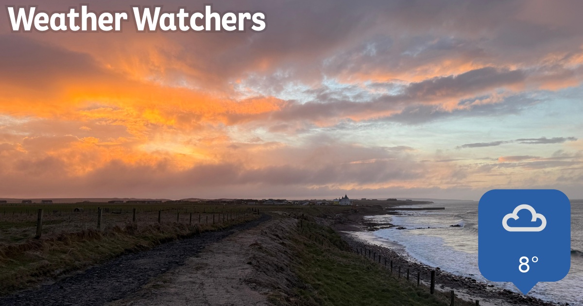 Report - BBC Weather Watchers